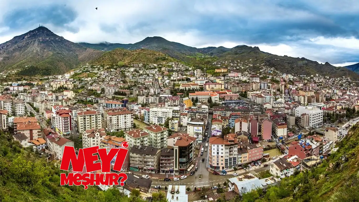 Gümüşhane'nin Neyi Meşhur?