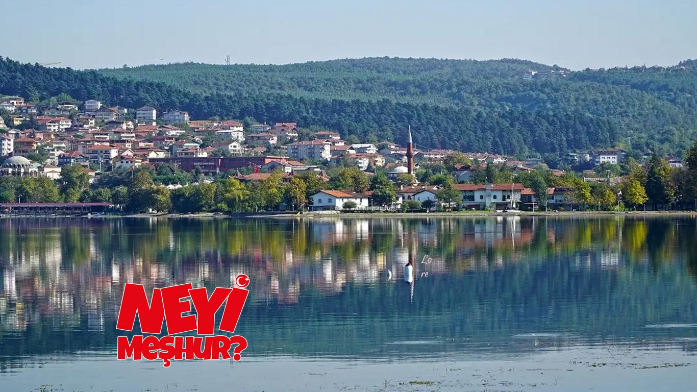 Samsun'un Meşhur Lezzeti: Samsun'da Denizden Sofraya Bir Lezzet